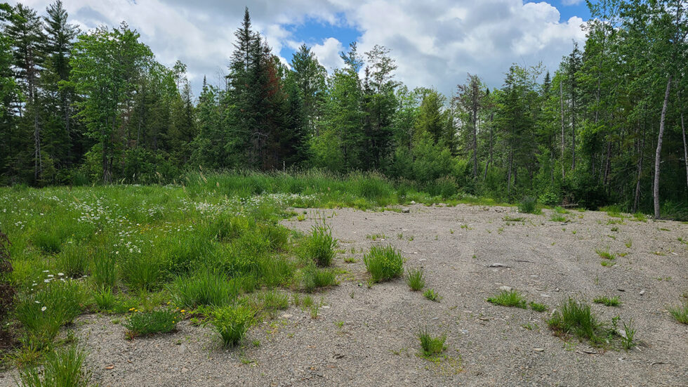 The Maine Land Store - Where Your Own Piece Of Maine Is Waiting For You.